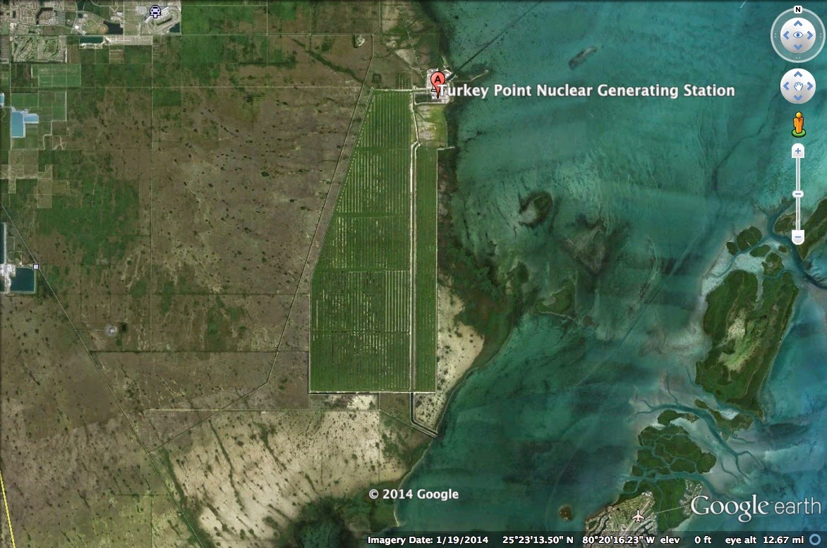 EYE ON MIAMI: Something is wrong at FPL's Turkey Point Nuclear … by ...