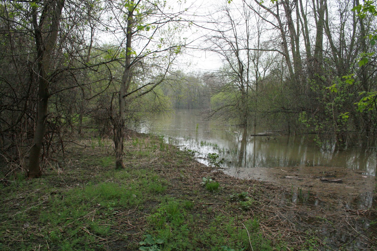 Cayuga County Canal Tours: Seneca River Flooding Shows The Past