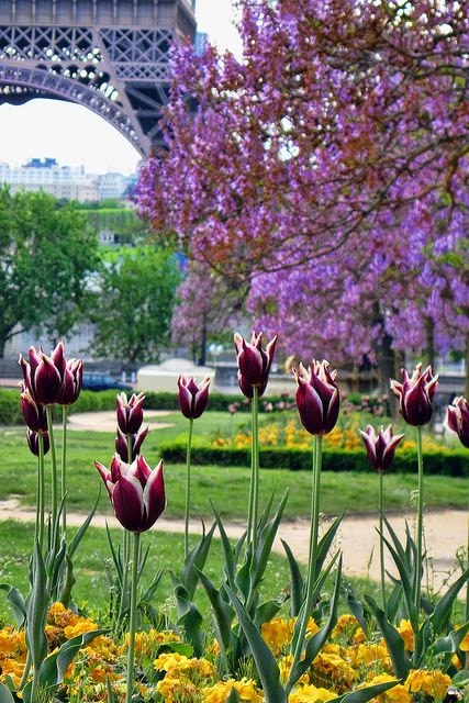 Spring in Paris, France ~ Photos Hub