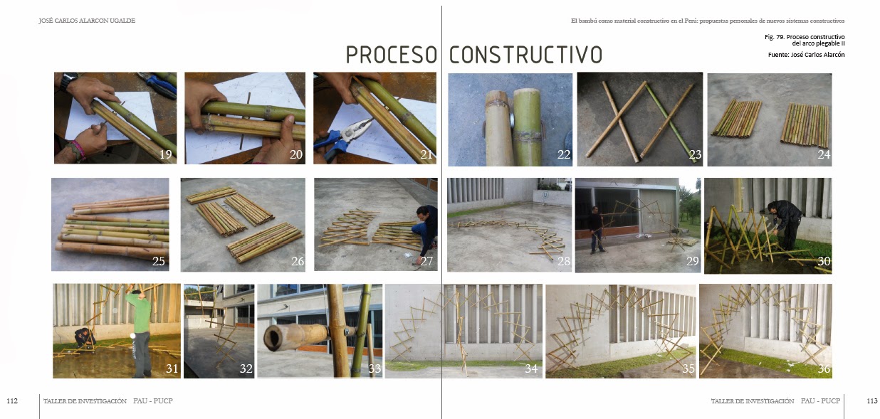 El bambú como material constructivo en el Perú: propuestas personales ...