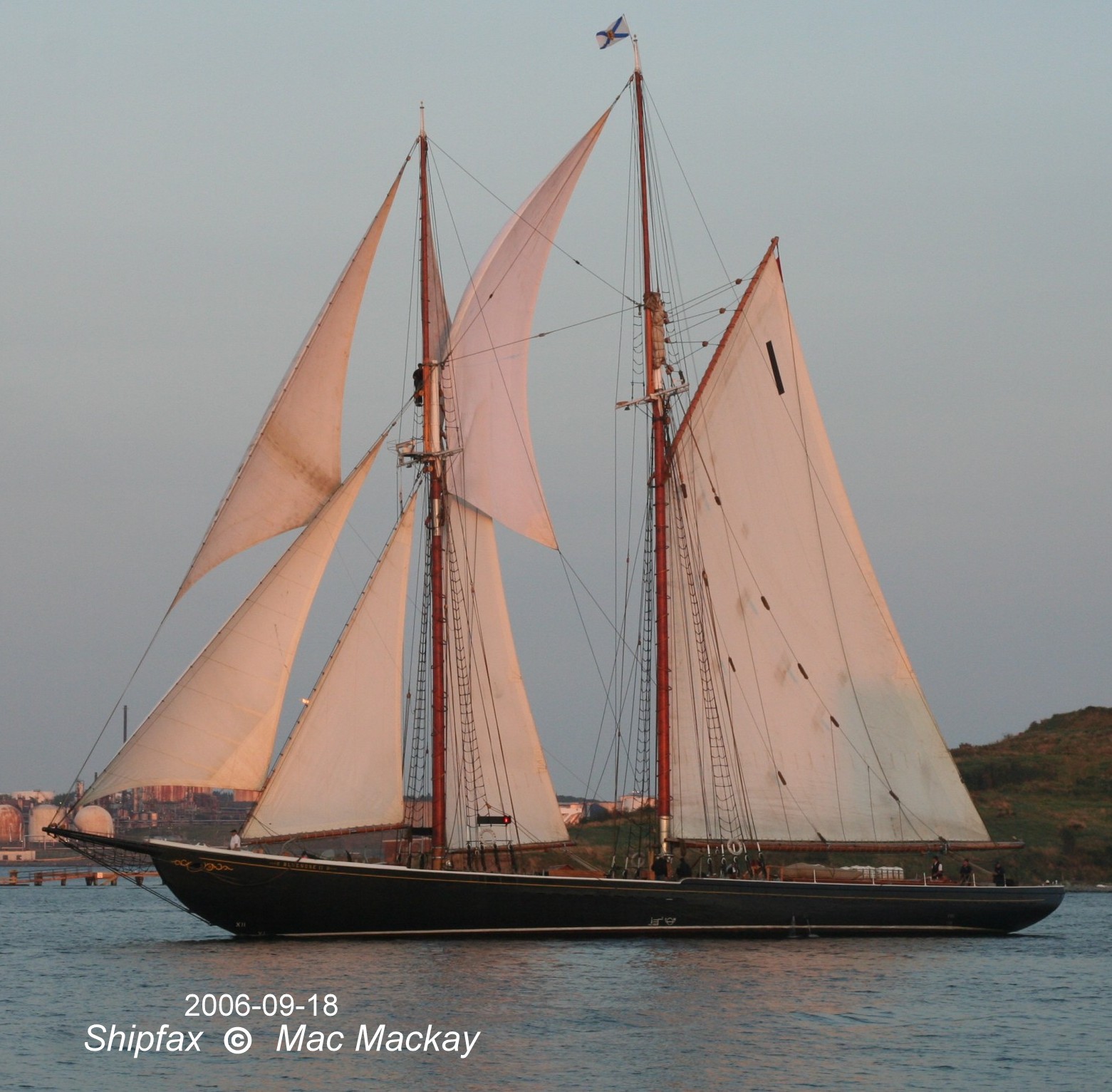 Shipfax: Bluenose II back in port - or is it