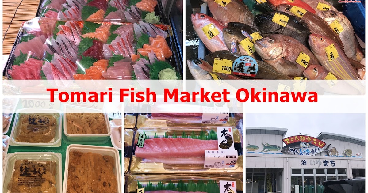 รีวิวตลาดปลาโทมาริ Tomari Fish Market Okinawa