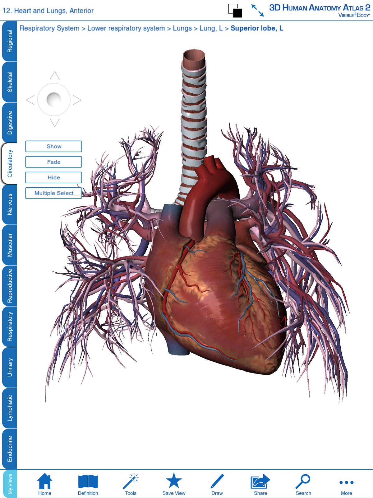 Cuthbert - 7th Grade Science Day to Day: Wednesday April 24th - Heart ...