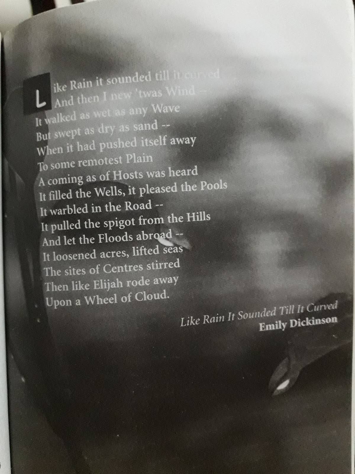 Beneath the rain clouds