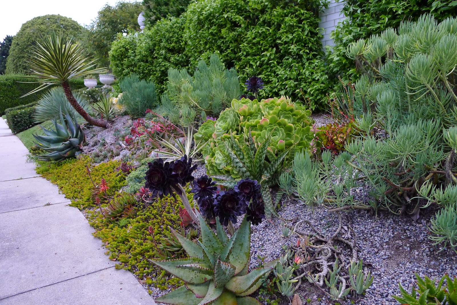 Jeffrey Bale's World of Gardens: Two Drought and Heat Tolerant Gardens