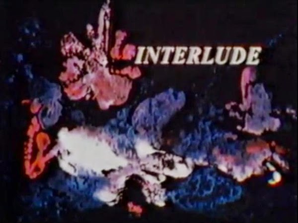 Studio Pluche: Interlude
