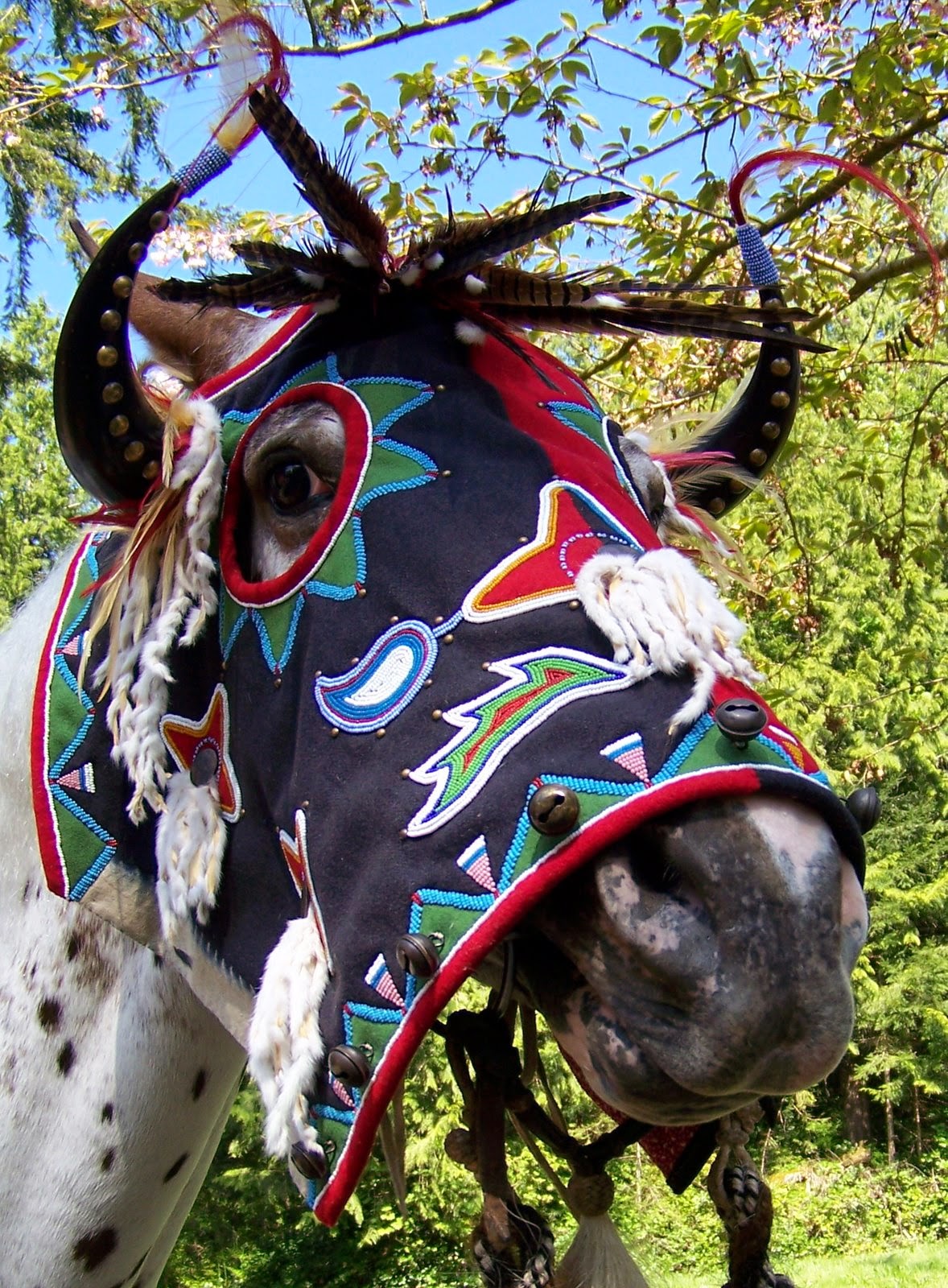 White Wolf : Amazing Native American Nez Perce Horse Regalia by ...