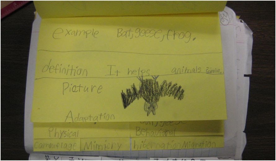 Science Notebooking: Animal Adaptations - Adrienne Teaches