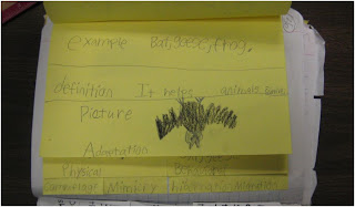 Sweet Teach: Science Notebooking: Animal Adaptations