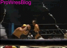 ProWresBlog: All Japan Midget Pro Wrestling - Midget Mania - 6/6/1995 ...