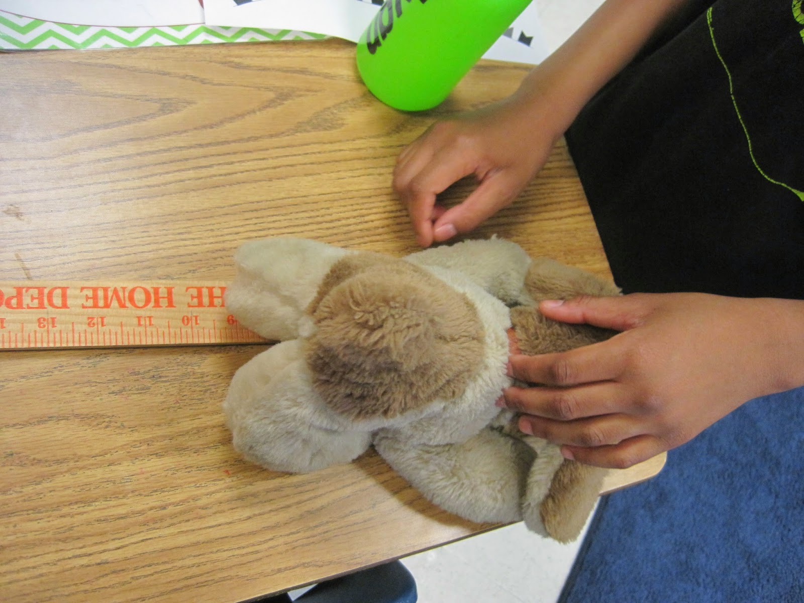 Flamingo Fabulous: Measurement Fair!