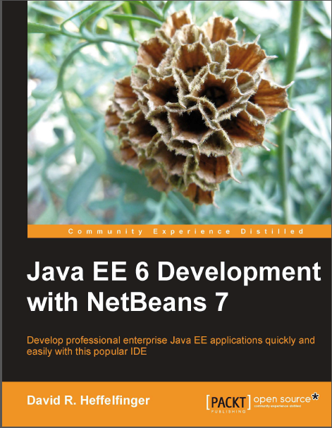 Java EE 6 Development with NetBeans 7 ~ Free Downloadable Computer ... Java EE 6 Development with NetBeans 7 ~ Free Downloadable Computer ...