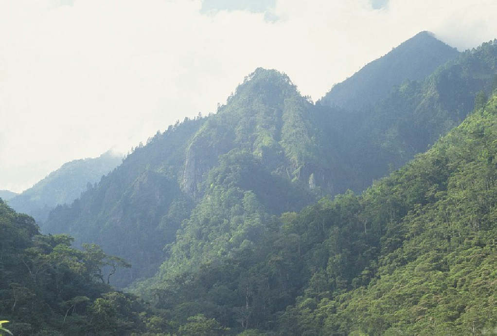 Áreas Protegidas de Honduras: Parque Nacional Cerro Azul Meámbar