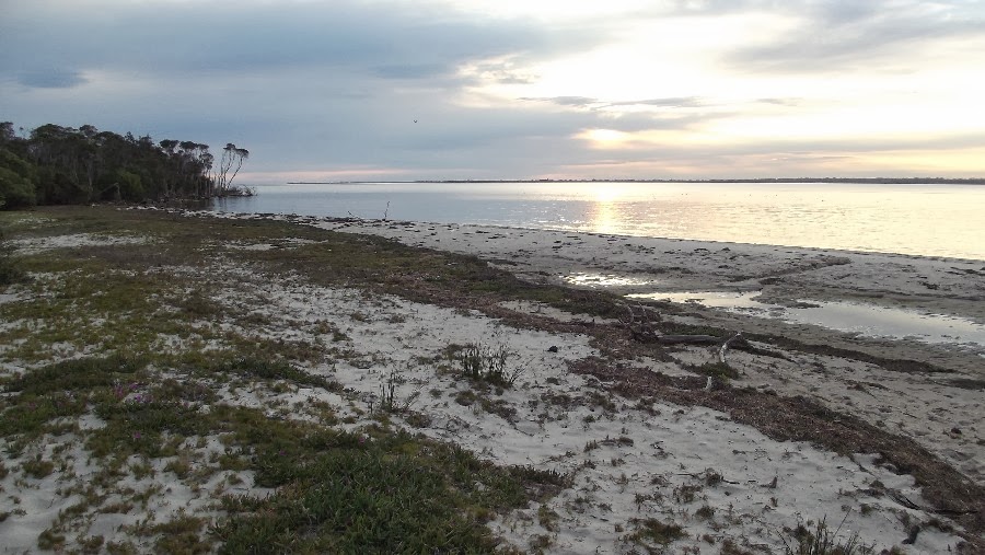 Living the Dream in Oz: Emu Bight - The Lakes National park