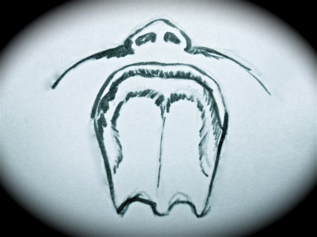 Unidad Funcional del Fisurado: Labio Leporino y/o Fisura Palatina