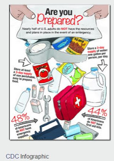 Avian Flu Diary: Disaster Planning For Major Events