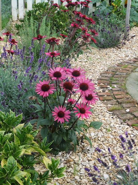 Pippa Purnell Garden Design: Planting: Refresh Your Borders