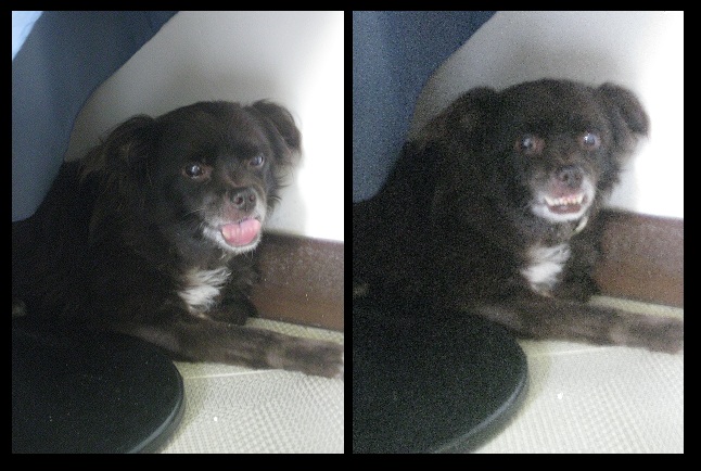 Elise Element: L'italia è un paese meraviglioso.