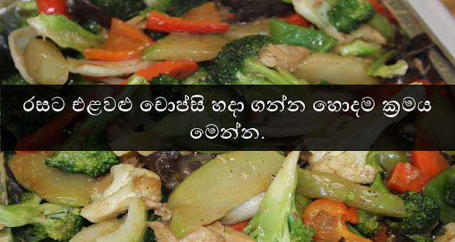 How to make a delecious vegitable chopsy at home! - SLViki