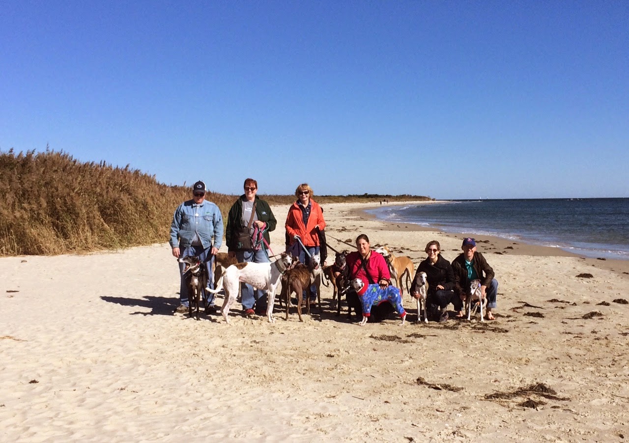 Pawstcards from Hampton Roads: Grandview Nature Preserve, Hampton, VA