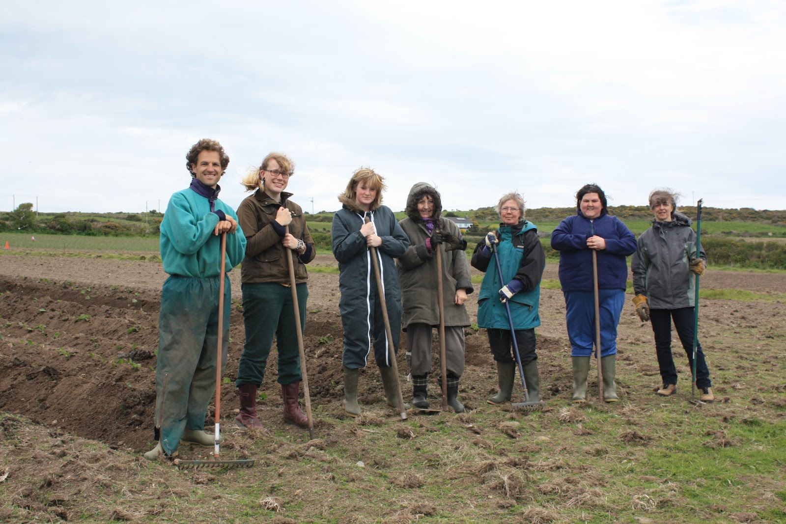 Bosavern Community Farm: Earthing up potatoes.