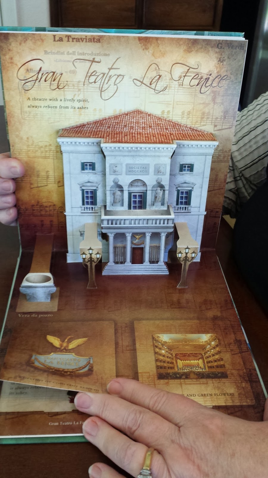 Sharon's Love of Books: The Treasures of Venice by Paola Zoffoli and ...