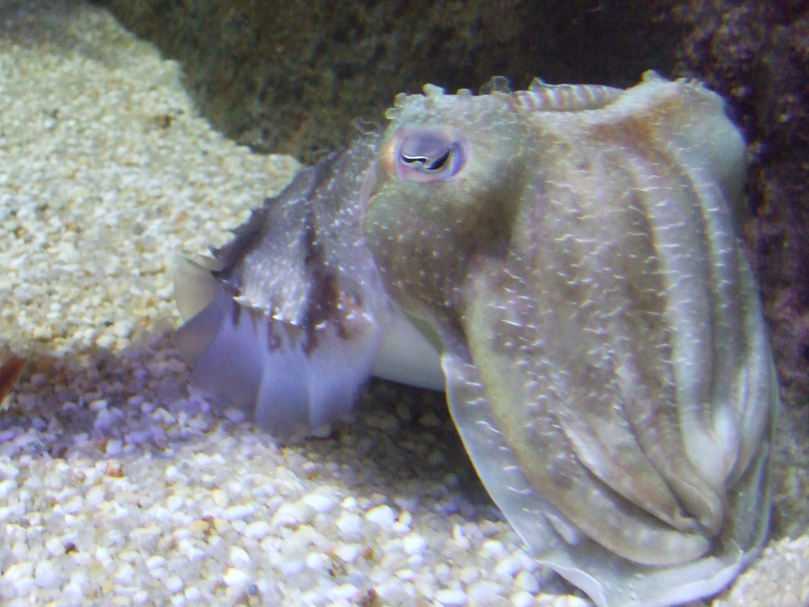 End Of The Line - Dread - The Greening of Gavin