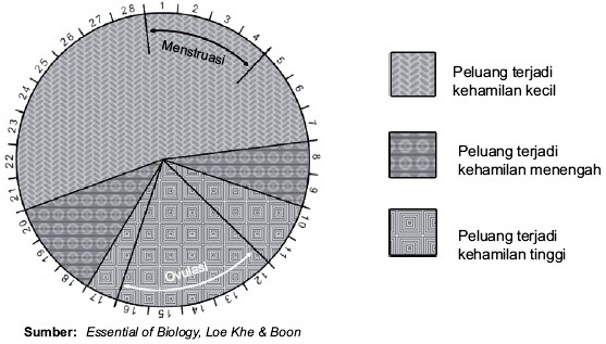 34+ Gambar Metode Kalender