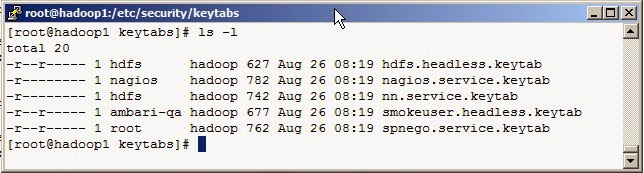 centrifying: Using Active Directory and Centrify to Accelerate your ...