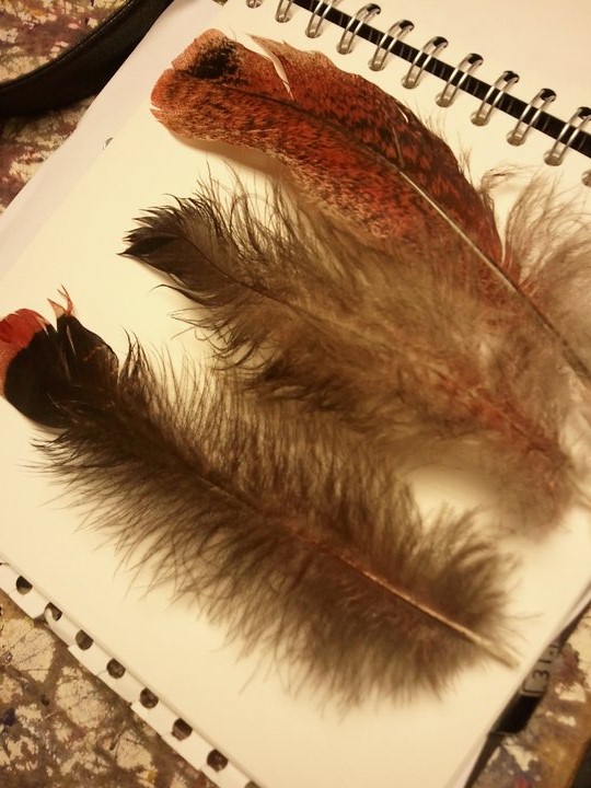 BeCreative: Feather dying..