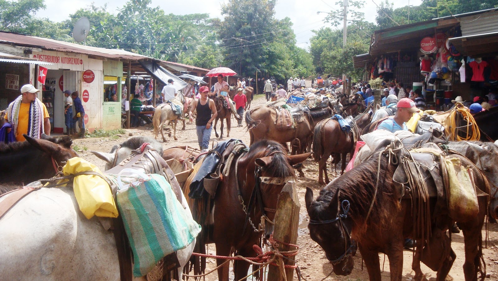 Sueños del Caribe: UN DIA RIMBOMBANTE DE MERCADO