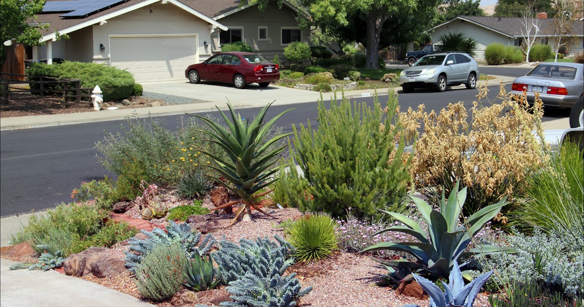 Around the world on 6,000 sq.ft.: Brian's miniature botanical garden