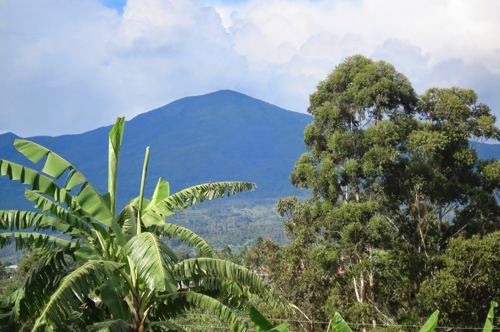 KINGOTANZANIA:: HABARI, PICHA NA MATANGAZO: IJUE RUNGWE NA MLIMA WA ...