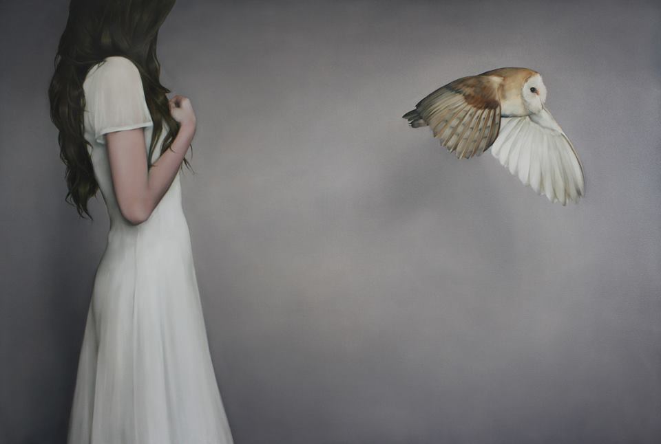 Cromofora La ( Paloma) Contemporary Online Art Gallery: AMY JUDD