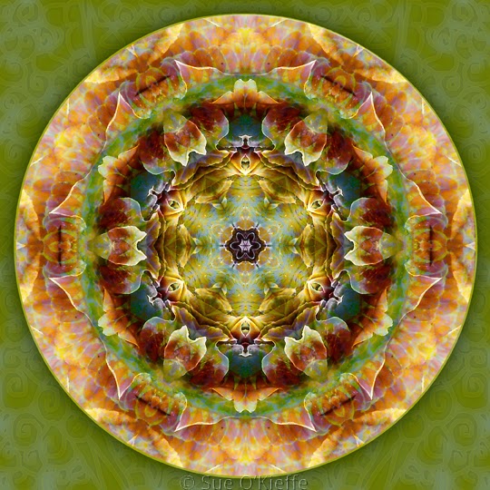 Sacred Circle Mandalas: Deeper Mandala - A Fall Equinox Offering