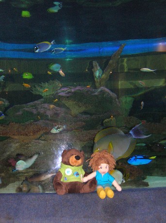 Adventures of Ed the Bear: Ed and Abby visit the Two Oceans Aquarium ...
