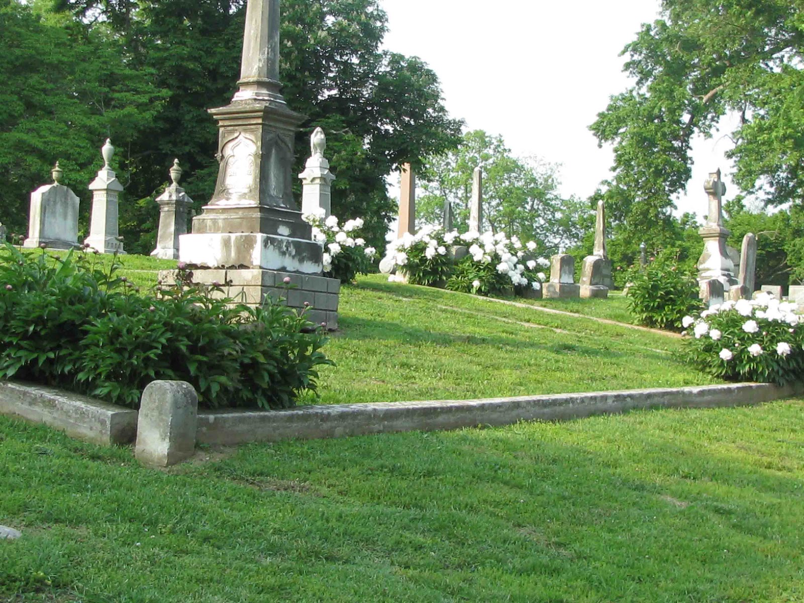 A Grave Interest: Serene and Evergreen - Cemeteries Allowing Plants ...