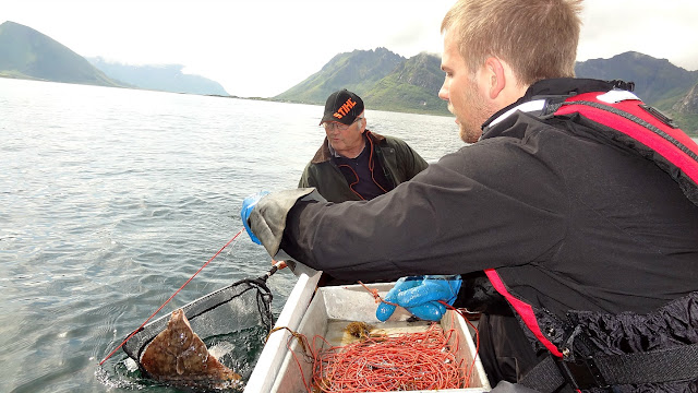 Turblogg: Flyndrefiske med line