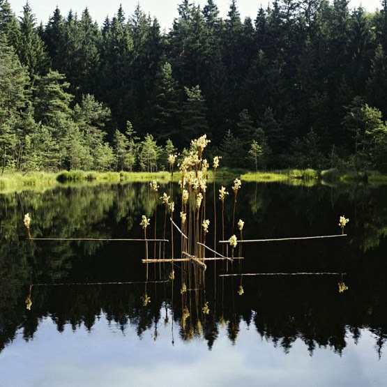 D e f i n e U s: Nils-Udo