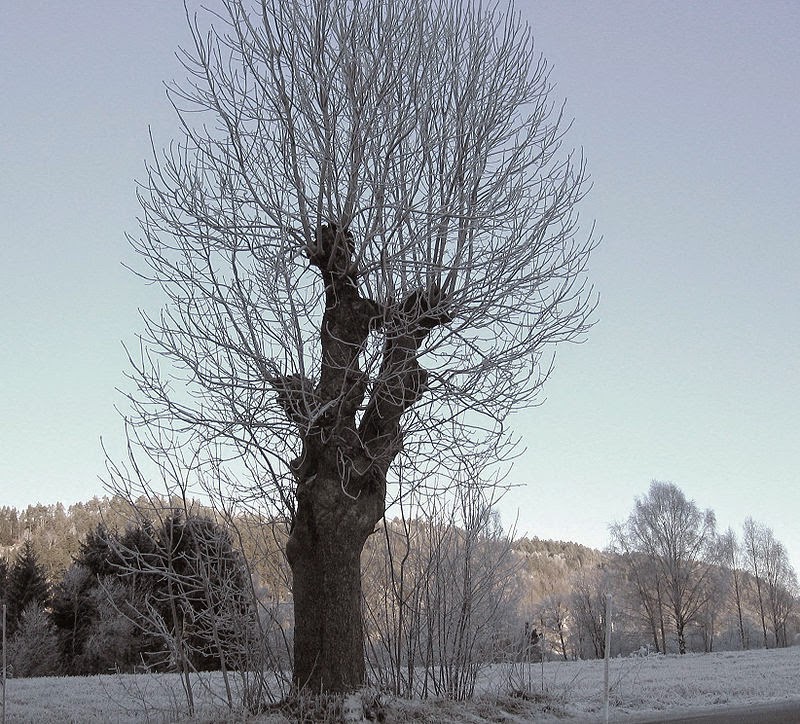 Detektoristene i Gudbrandsdalen: Litt om ljåen og andre redskap