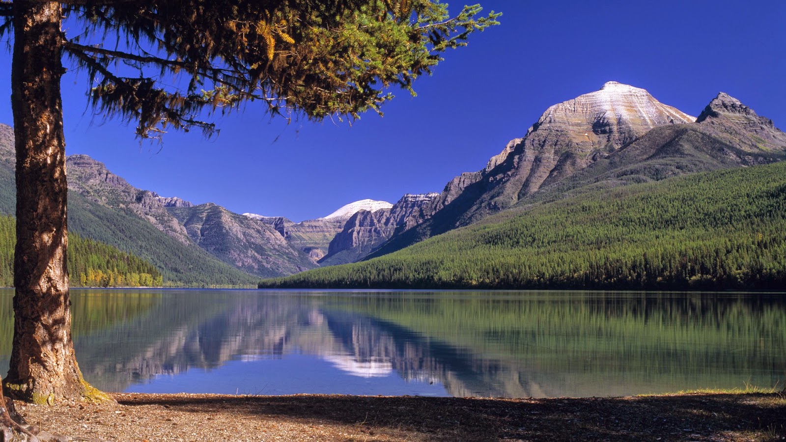 AS MAIS BELAS IMAGENS DA NATUREZA