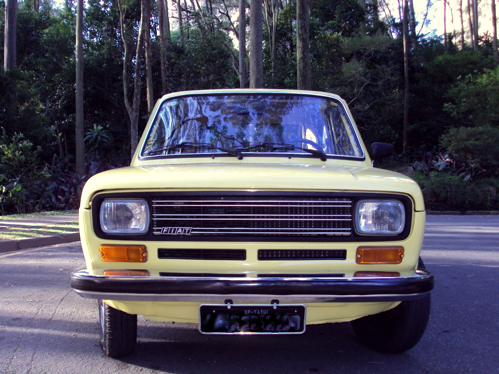 Meu Véio V8: Fiat 147 GL