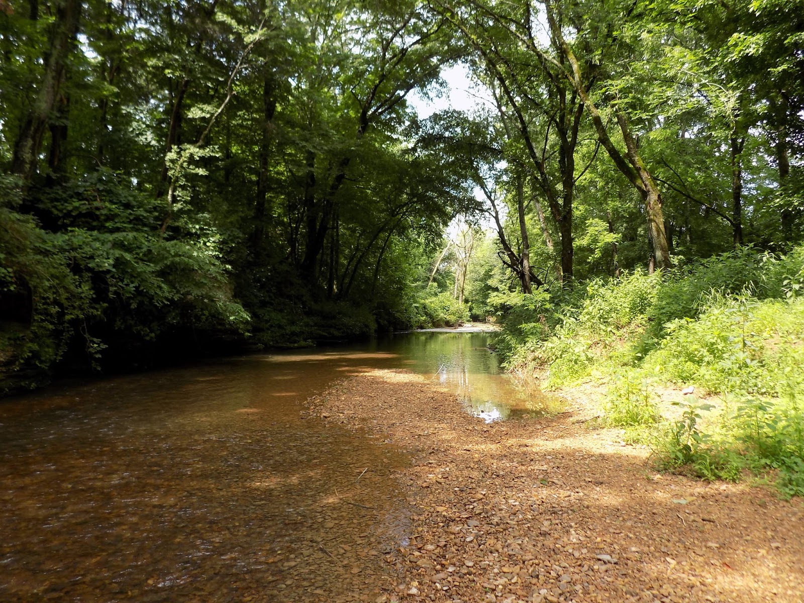 Paddle Tennessee: Piney River - Pinewood Canoe and Camp