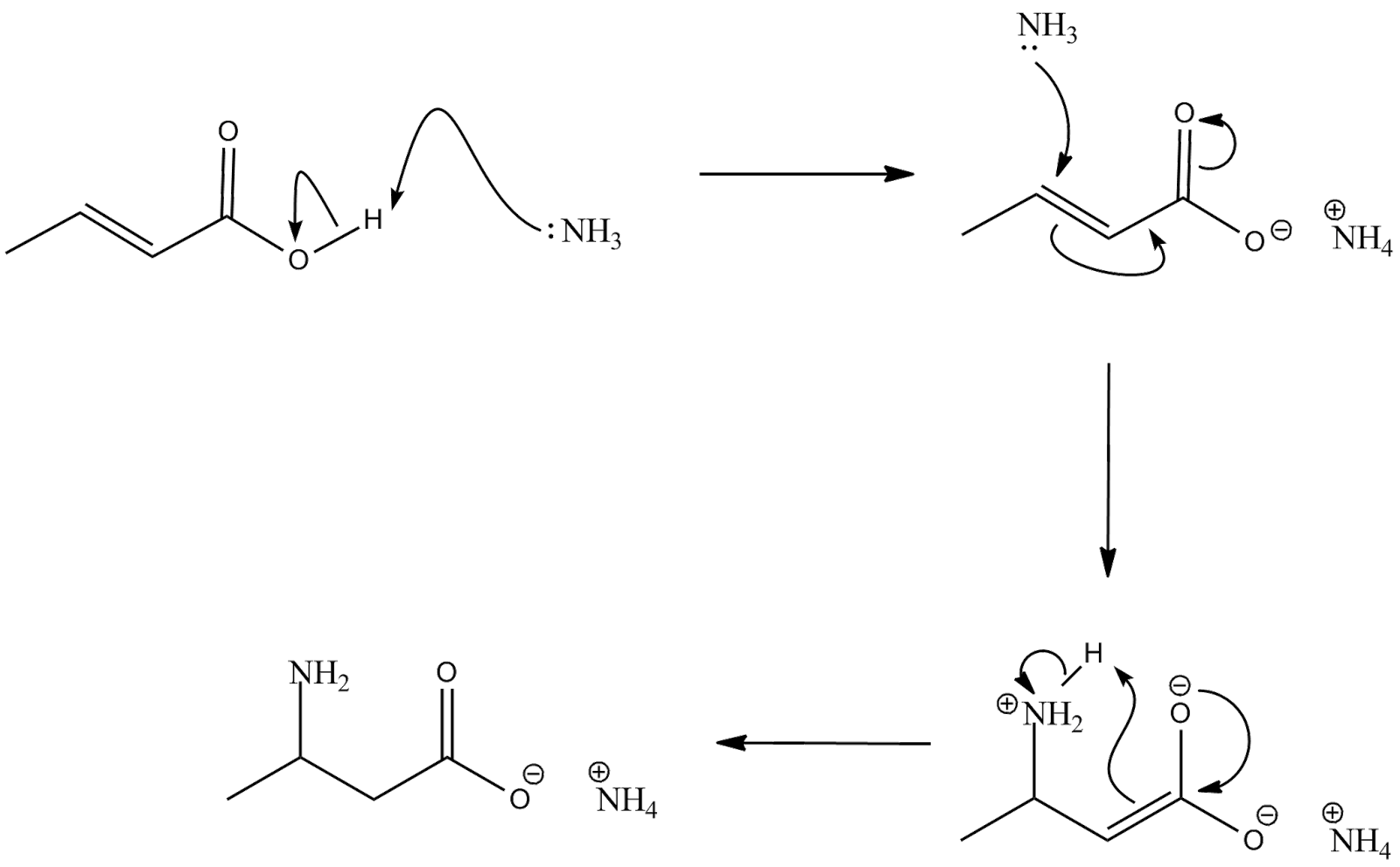 Chemistry: Amine conjugate addition 2