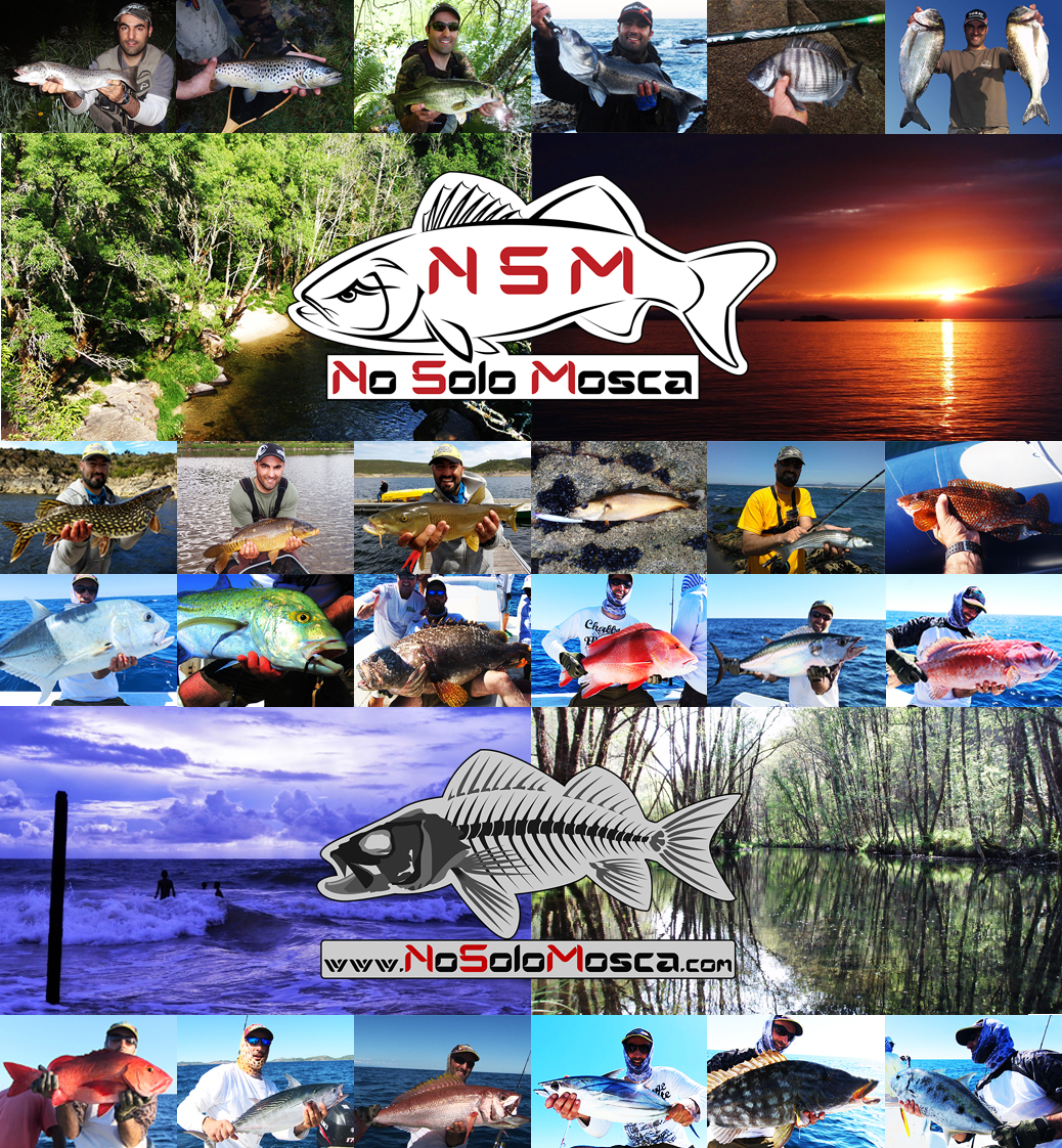 nosolomosca: De vuelta: Masma día 1