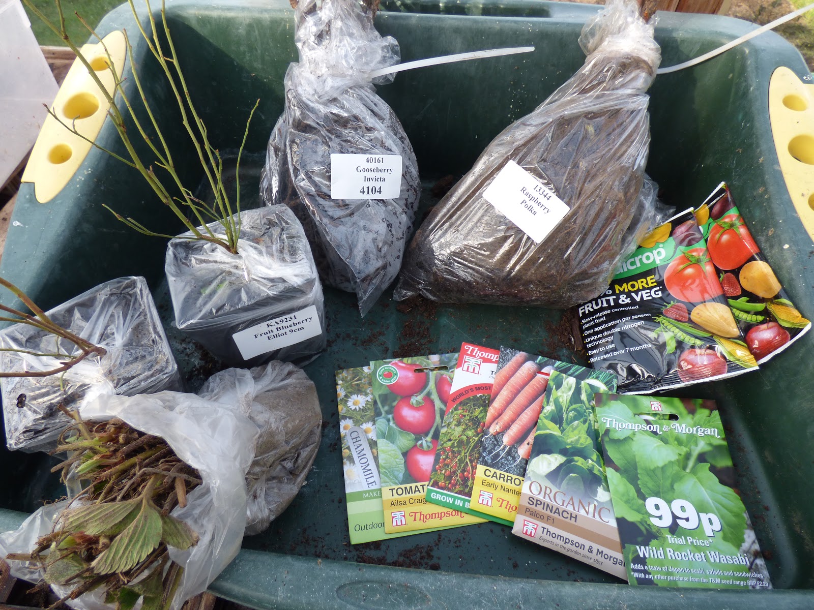 My Quiet Life in Suffolk: The Bargain Fruit Parcel