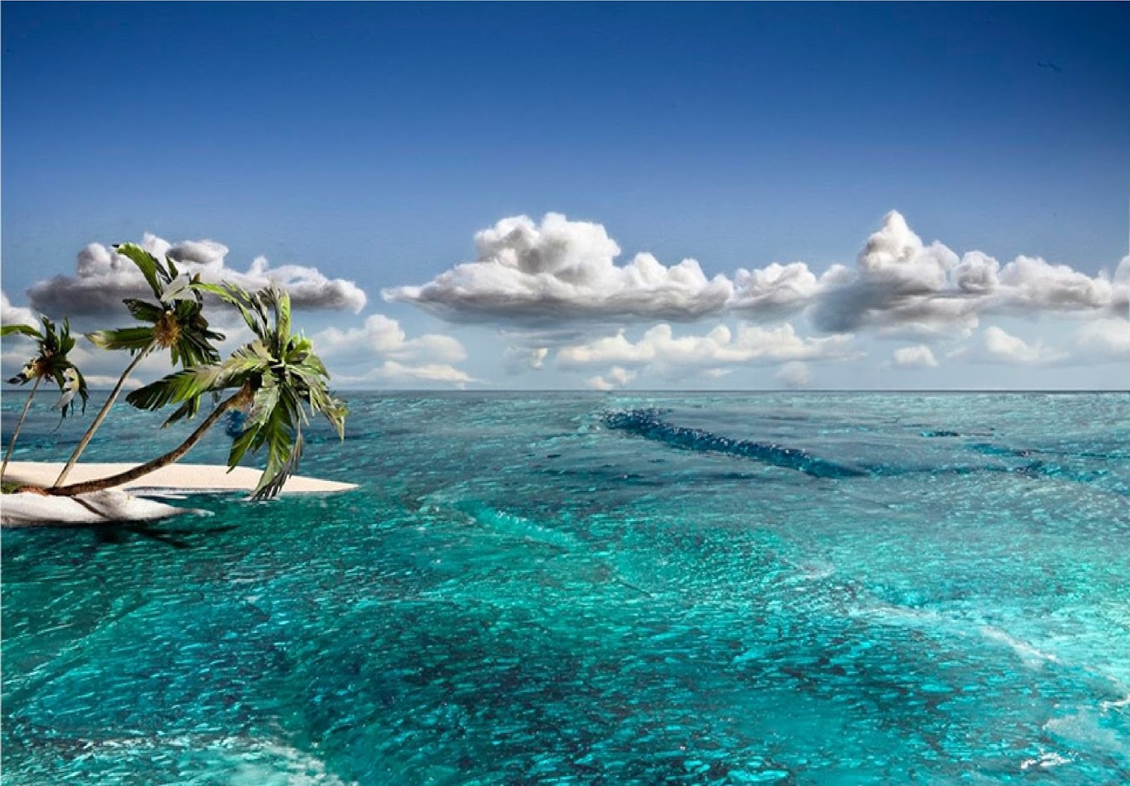 Pesona Wisata Taman Laut Bunaken - Tempat Berlibur Wisata di Indonesia