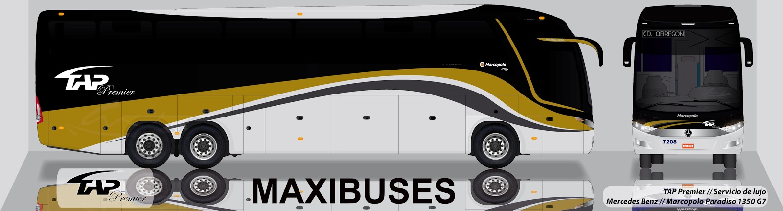 MAXIBUSES: TRANSPORTES Y AUTOBUSES DEL PACÍFICO (TAP)