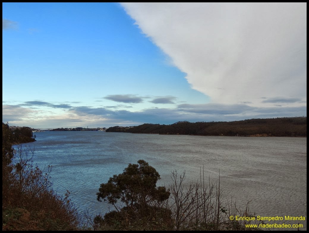 Ría de Ribadeo: diciembre 2013