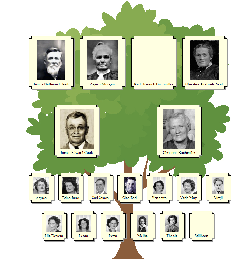 Cook Family History: Photo Tree - Cleo Earl Cook